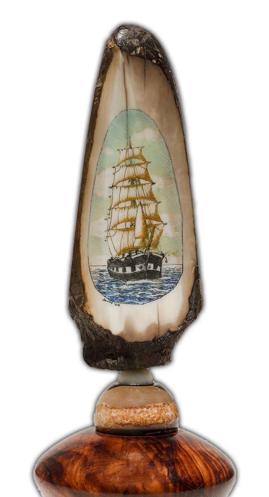 Scrimshaw Collector | One of a Kind Nautical Scrimhaw Art