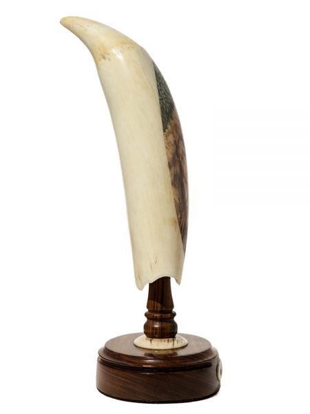 Gary Dorning Scrimshaw - Majestic - Scrimshaw Collector