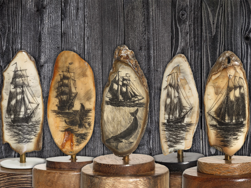 Scrimshaw Collector | One of a Kind Nautical Scrimhaw Art