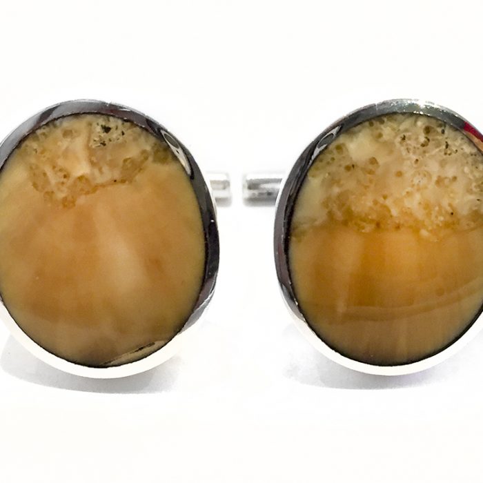 Ancient Walrus Tusk Ivory Cufflinks - Scrimshaw Collector