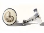 David Smith - Chambered Nautilus Cufflinks - Scrimshaw Collector