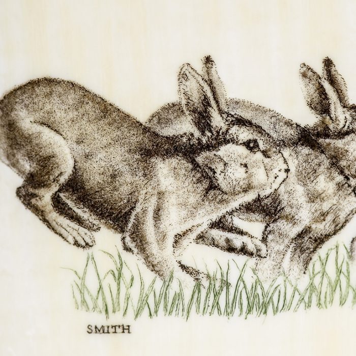 David Smith Scrimshaw - Anatomy of a Hop - Scrimshaw Collector