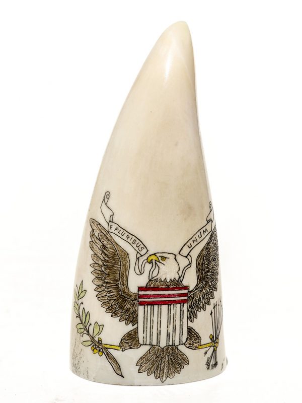 Scrimshaw Items - Scrimshaw Collector