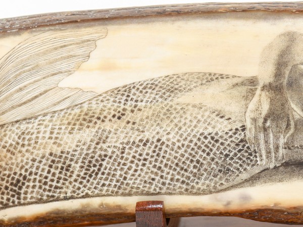 Stunning Sunbathing Mermaid - Scrimshaw Collector