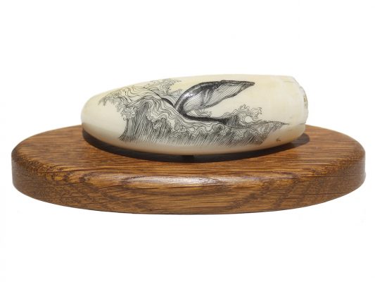 Scrimshaw by J.M. - Playful Breaching Whale - Scrimshaw Collector