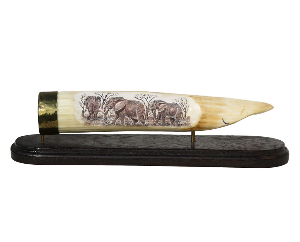 W098 - Scrimshaw Collector