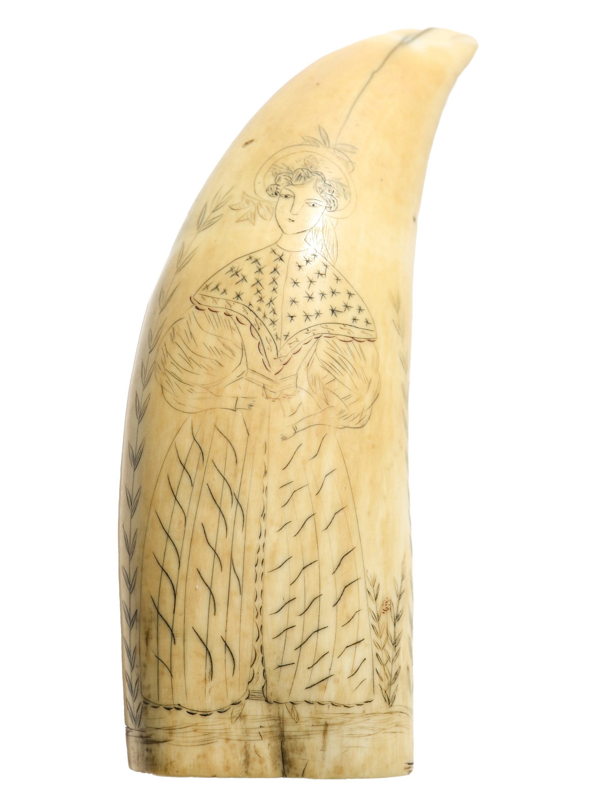 WTA002 - Scrimshaw Collector